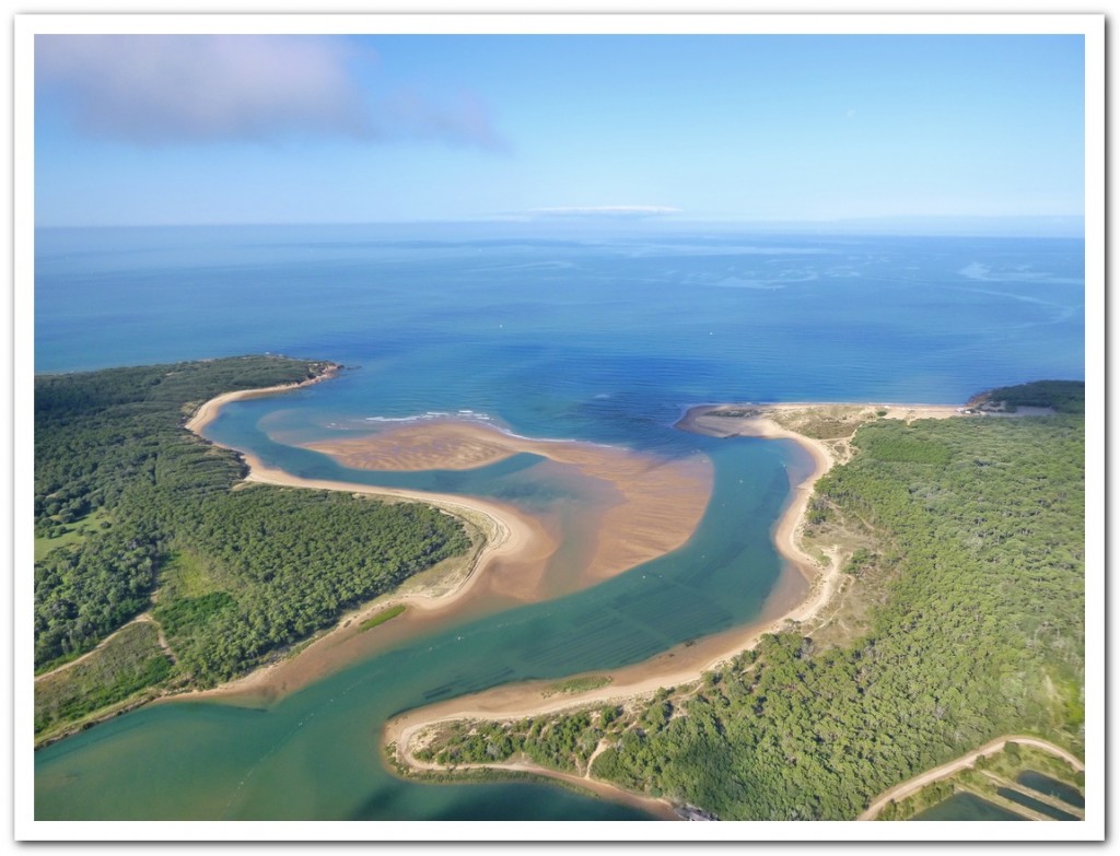 estuaire | Blog du Talmondais