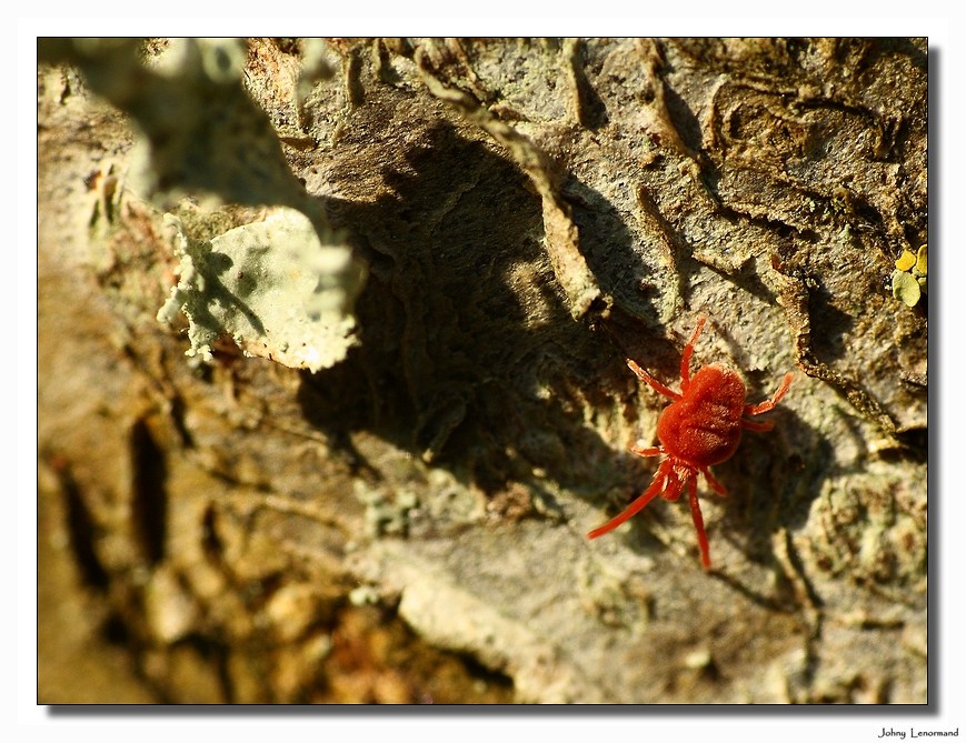 Le bloc-notes du Talmondais